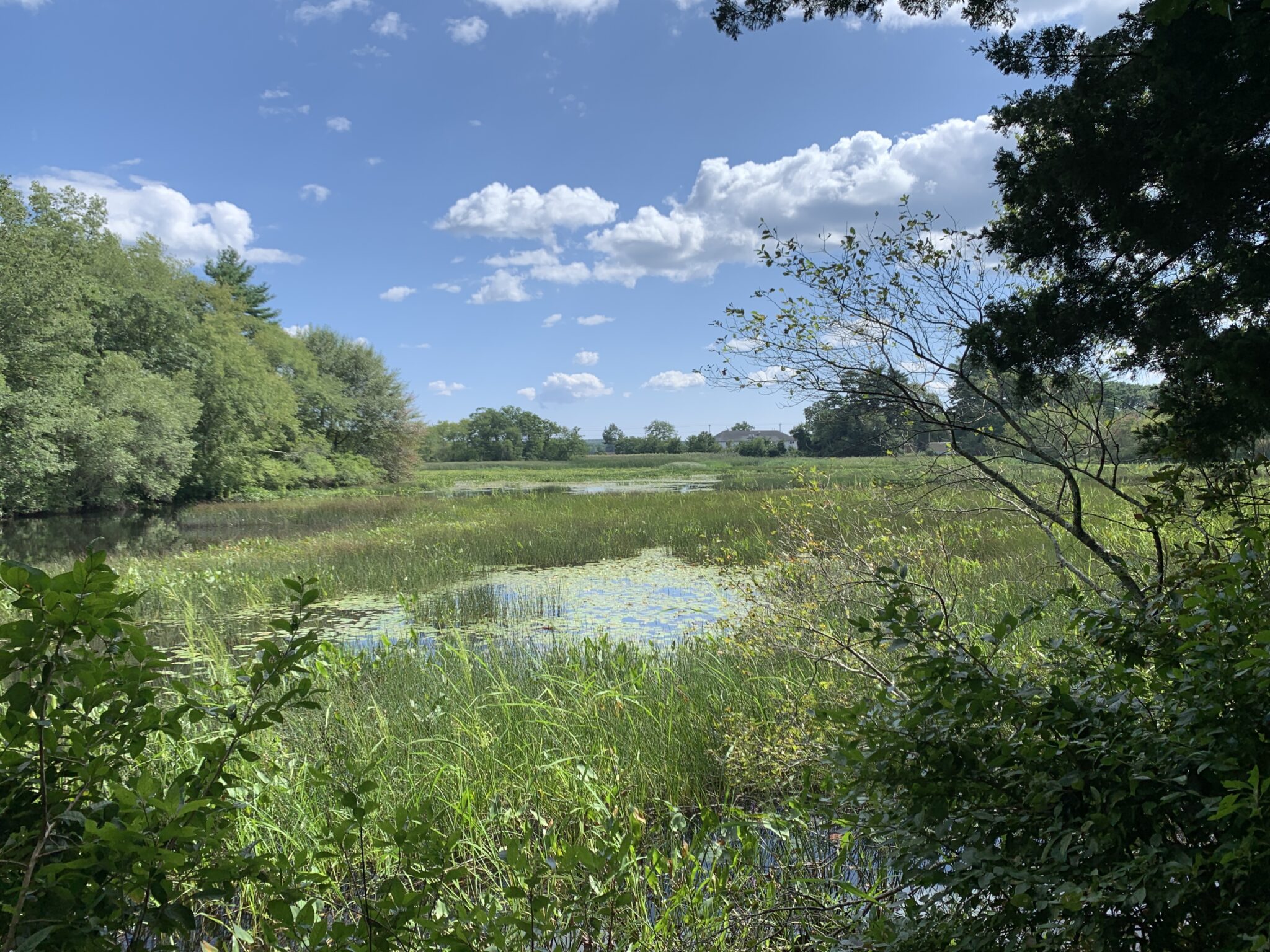 Municipal Land Trusts – Rhode Island Land Trust Council